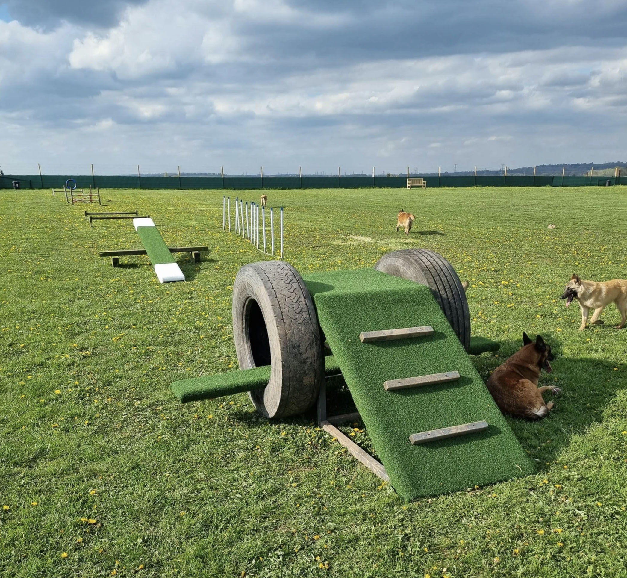 Hire Bluerose Dog Park: A Haven for Four-Legged Friends - dogparks