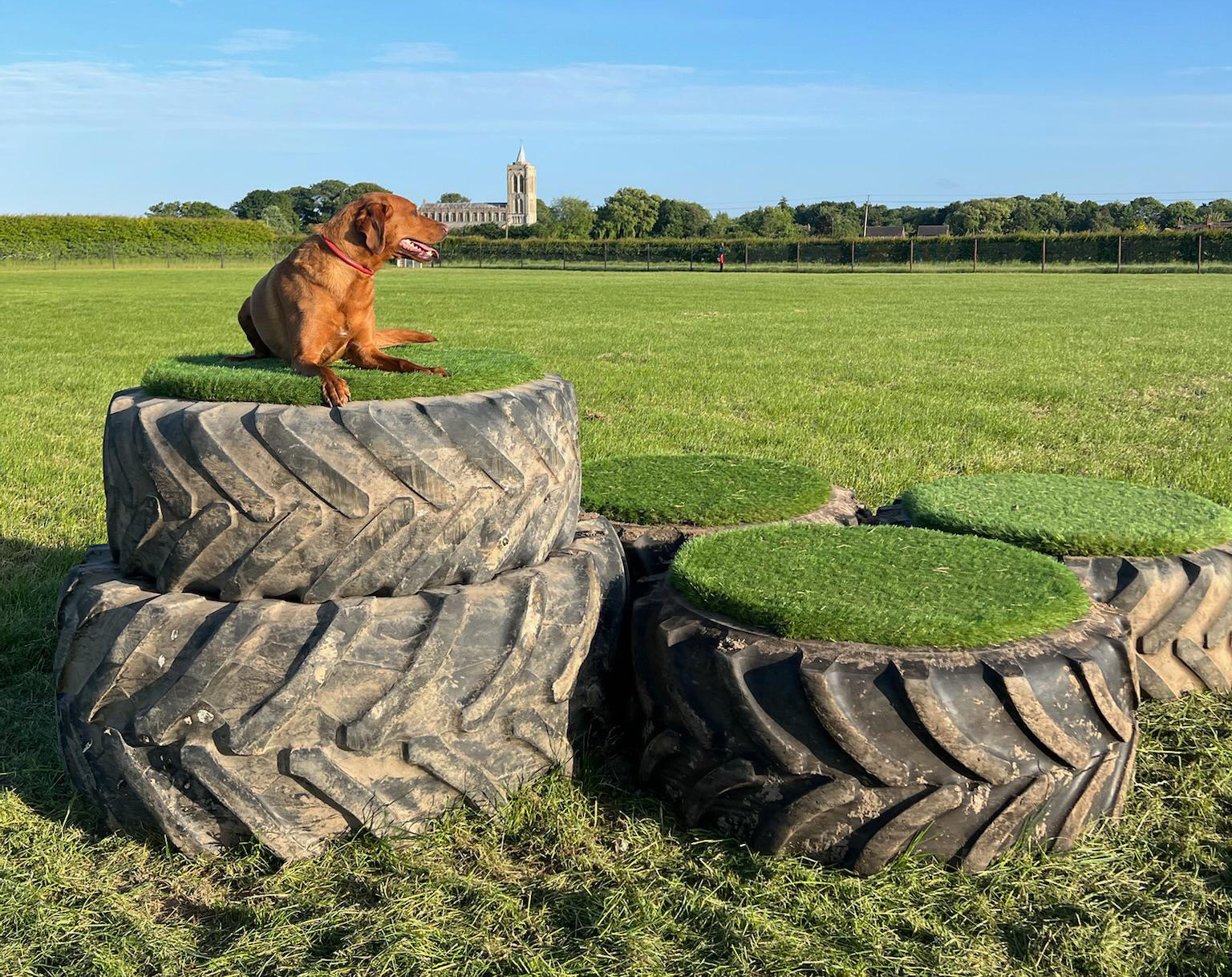 Field for Paws (Fleet Hargate) | Secure Dog Field on dogparks