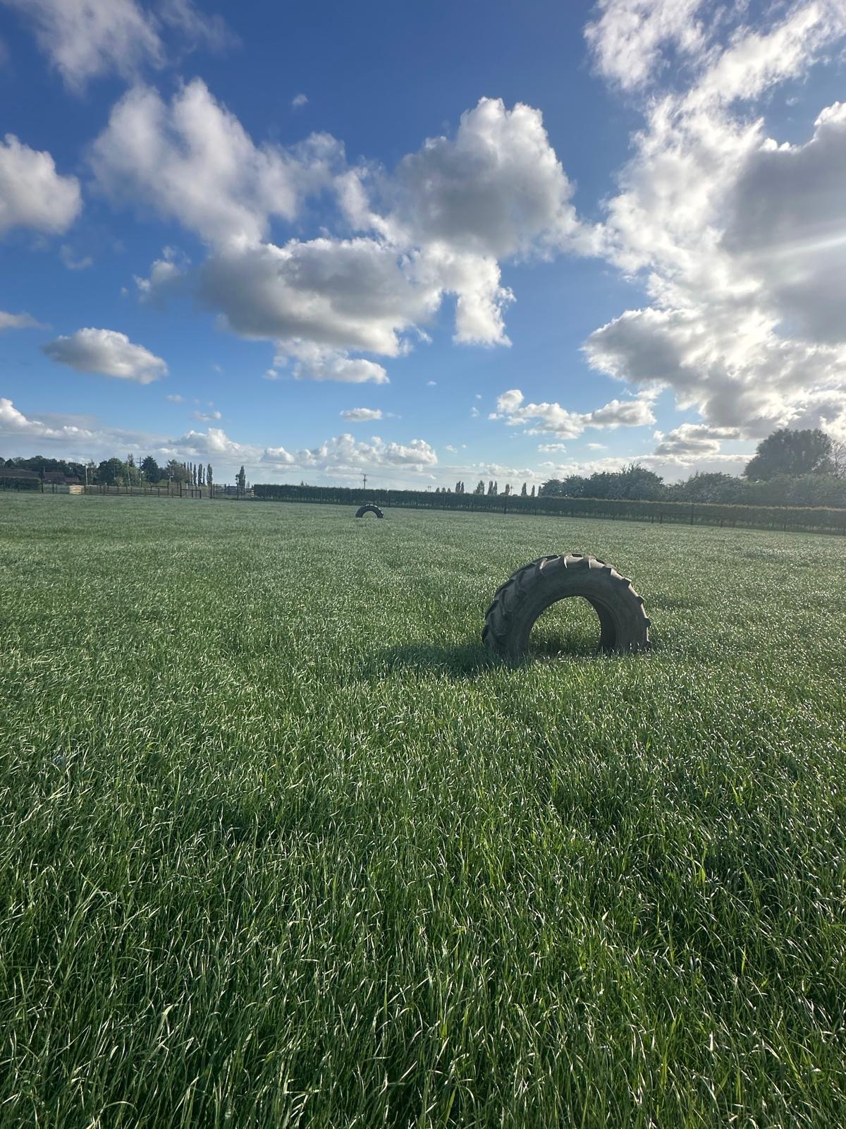 Field for Paws (Fleet Hargate) | Secure Dog Field on dogparks