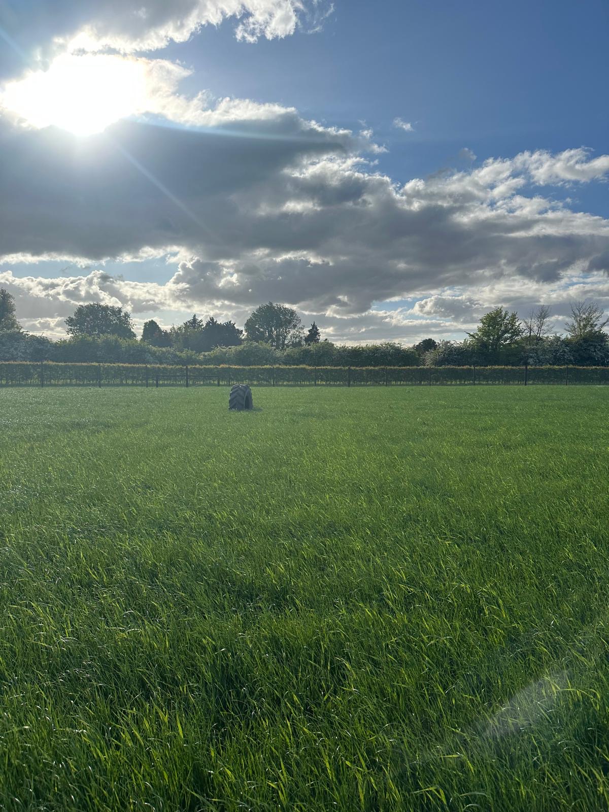 Field for Paws (Fleet Hargate) | Secure Dog Field on dogparks
