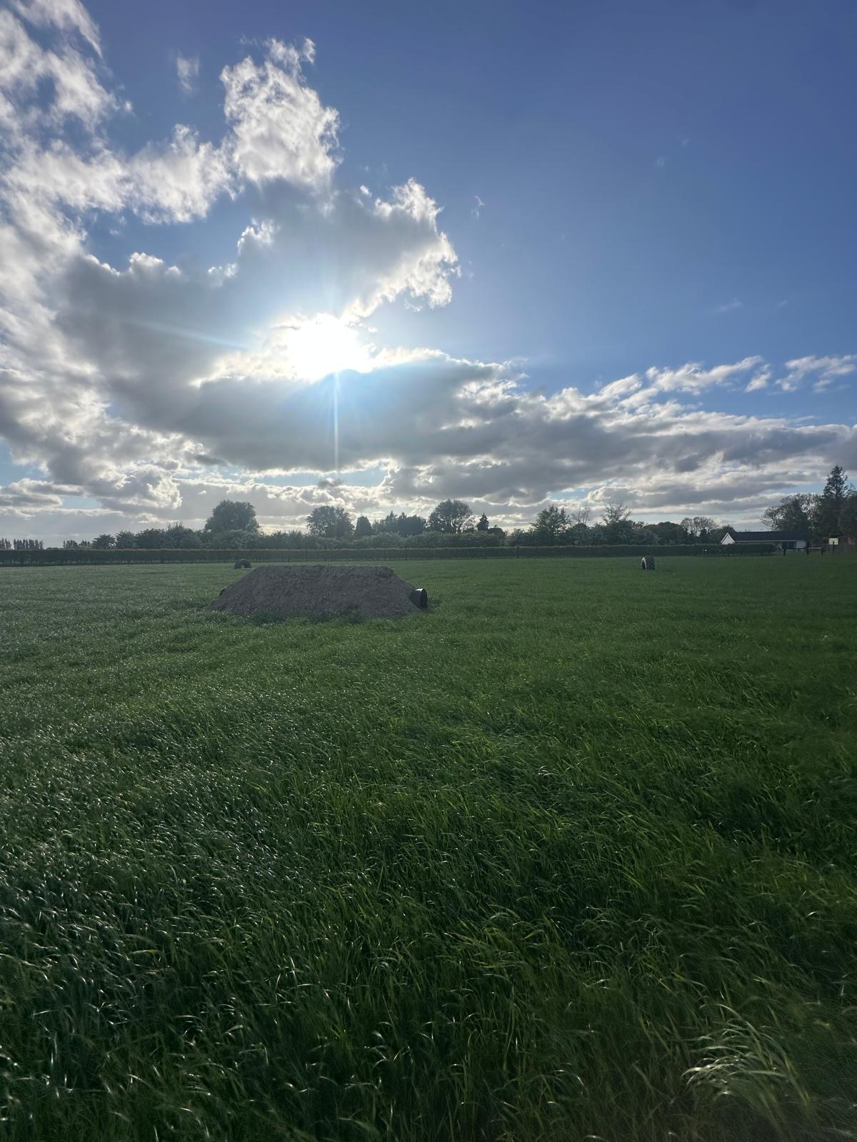 Field for Paws (Fleet Hargate) | Secure Dog Field on dogparks