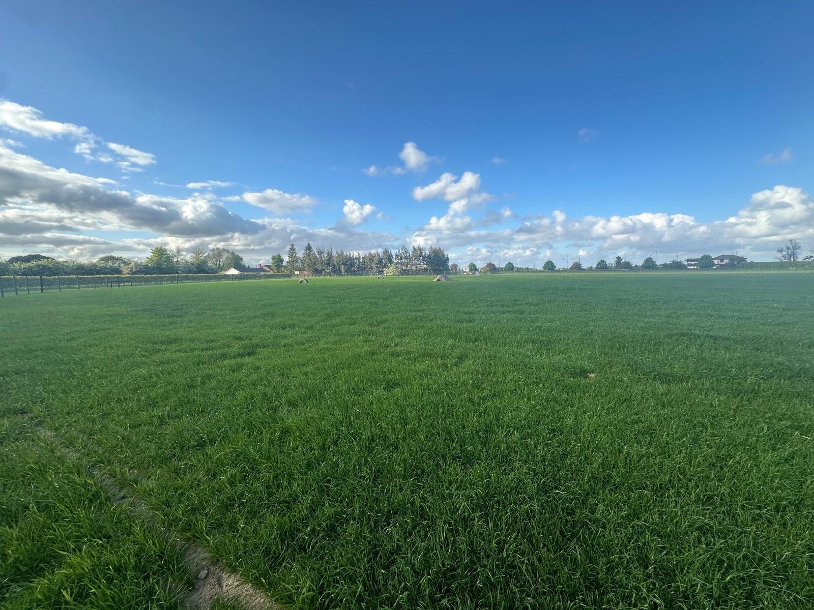 Field for Paws (Fleet Hargate) | Secure Dog Field on dogparks