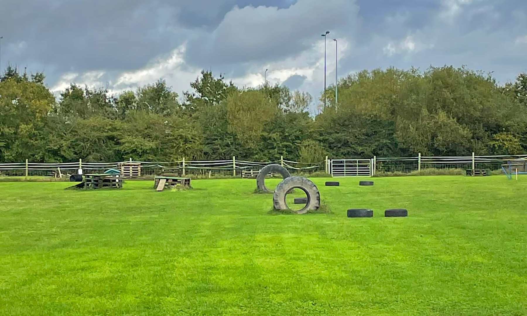 All Dogs Playing Field: A Canine Paradise | Secure Dog Field on dogparks